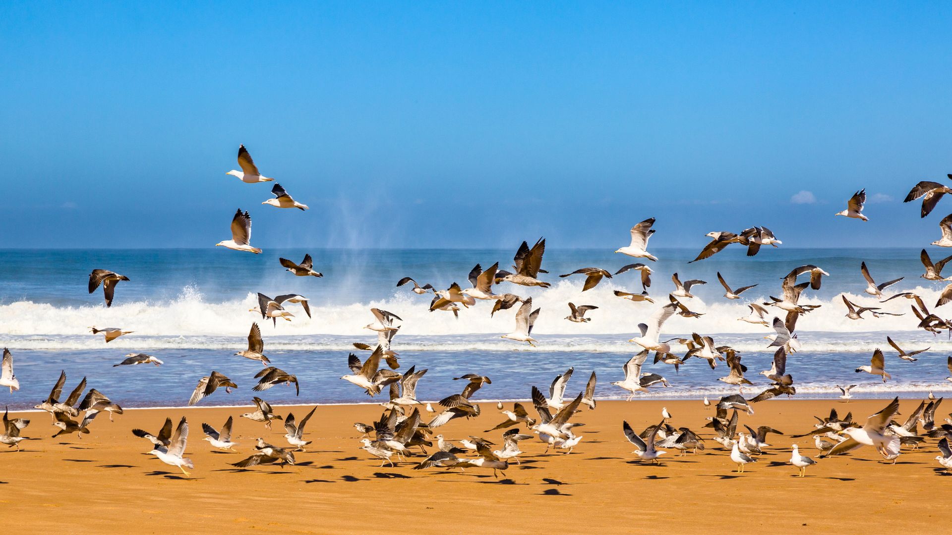 Ocean coastline tour from Casablanca to Marrakech - 8 days - Best ...